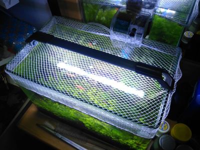 Aquarium Jump Guard DIY Aquarium Cover