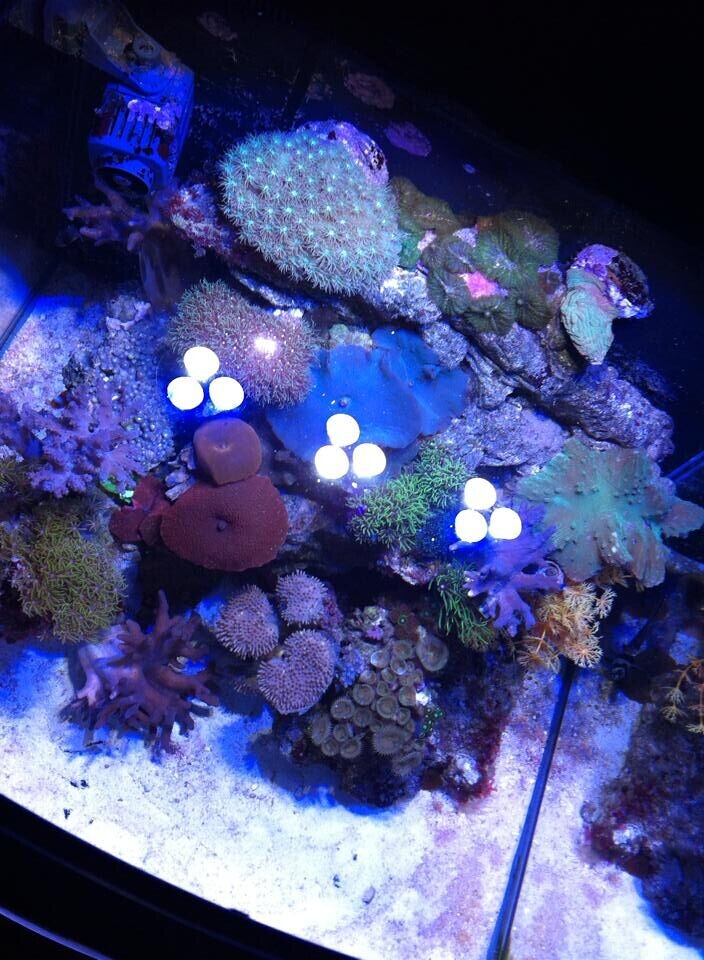 Coral Box AquaNano LED