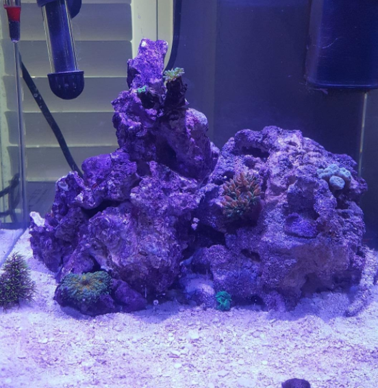 Coral Box Refugium 15W Frag LED