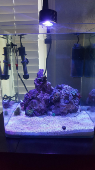 Coral Box Refugium 15W Frag LED