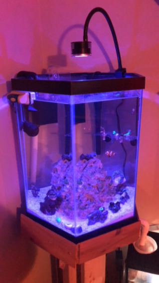 Coral Box Refugium 15W Frag LED
