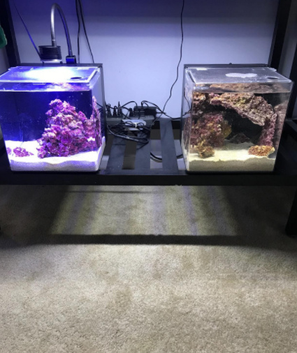 Coral Box Refugium 15W Frag LED