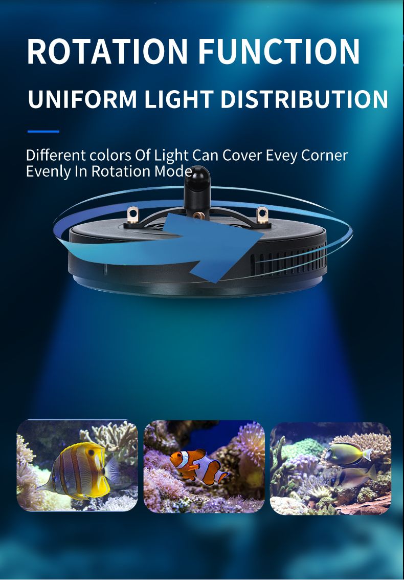 Coral Box Moon LED 360 Rotational