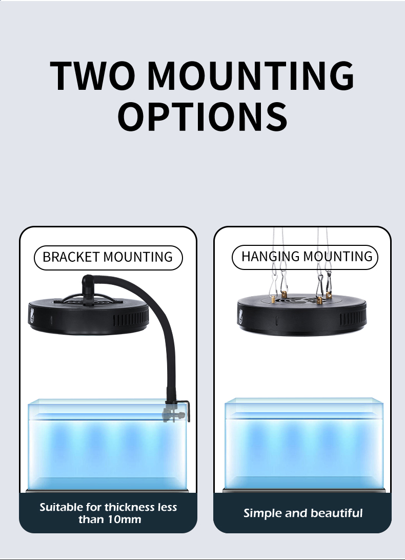 Coral Box Moon LED 360 Rotational